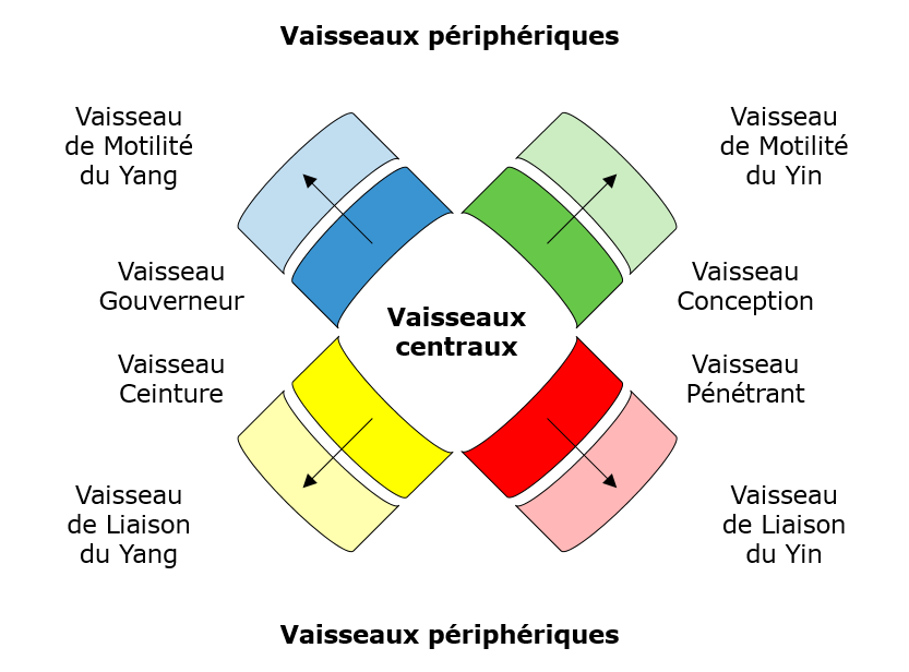 Régulation ostéopathique des grands systèmes de l’organisme via les ...